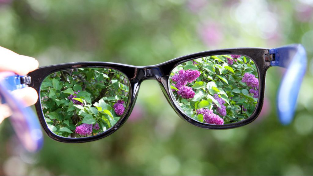 Spectacle Lenses For Myopia Control Part 3 Myopia Profile Spectacle Lenses For Myopia Control Part 3 Myopia Profile